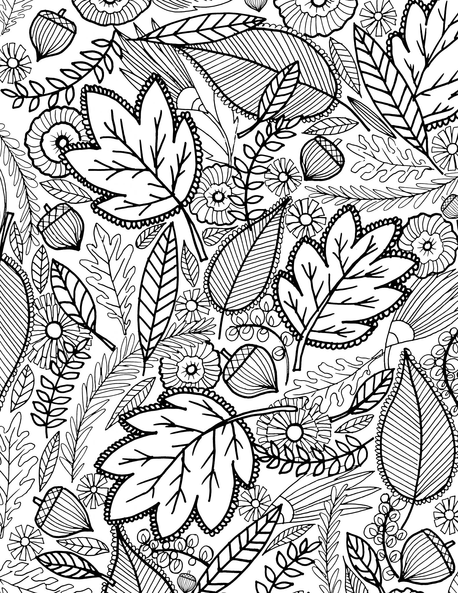 FALL COLORING PAGES | The William Benton Museum of Art